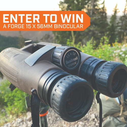 Bushnell Forge 15×56 Binoculars Giveaway